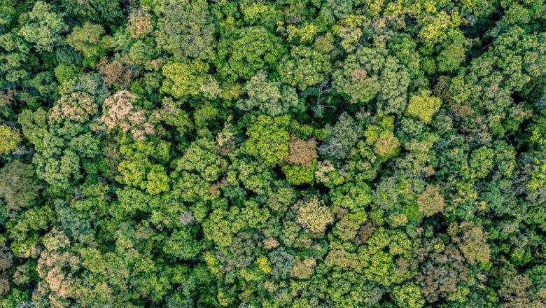 Cambodia and UNDP team up on maps for environment - Cambodia News Watch