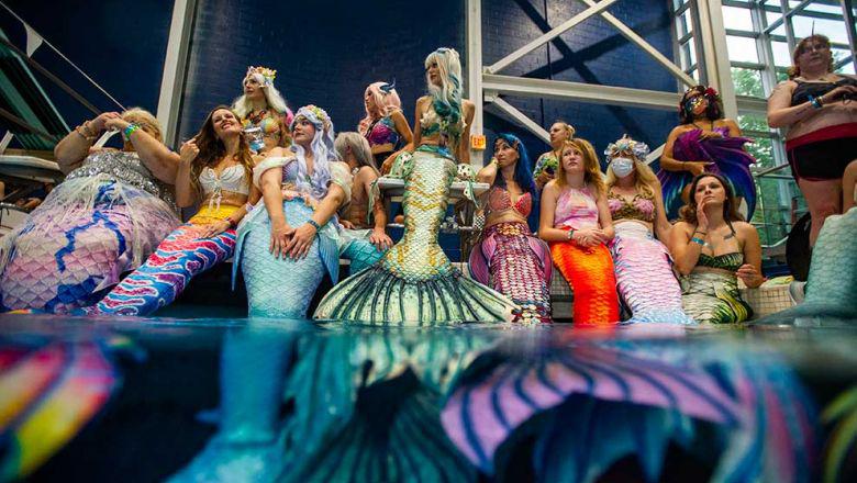 World’s largest mermaid convention held in Virginia - Cambodia News Watch