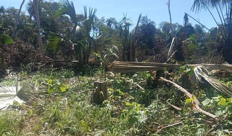 Five detained over land encroachment case - Cambodia News Watch