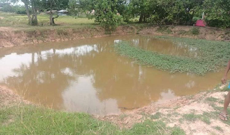 Two-year-old dies in pond after being left without supervision ...