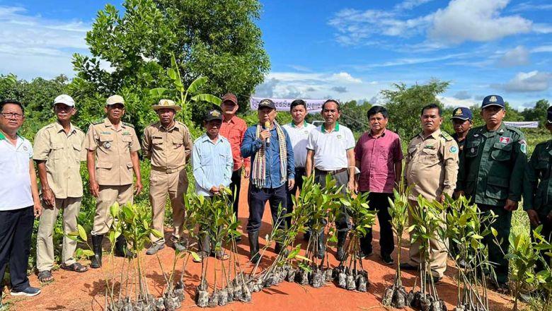 Coastal mangroves replenished - Cambodia News Watch