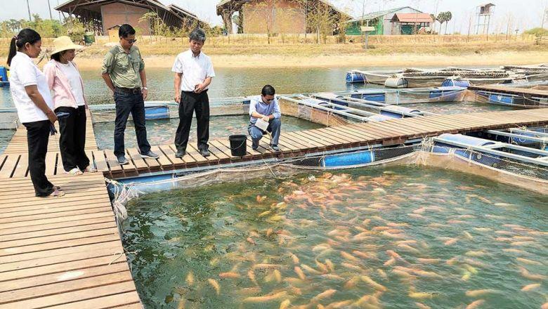 Indian Fish Farming